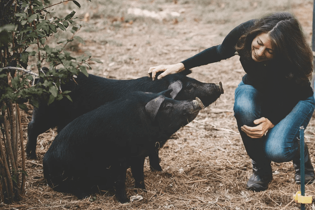 Devona's AIP Kitchen: How She Manages Thyroid Disease in Virginia