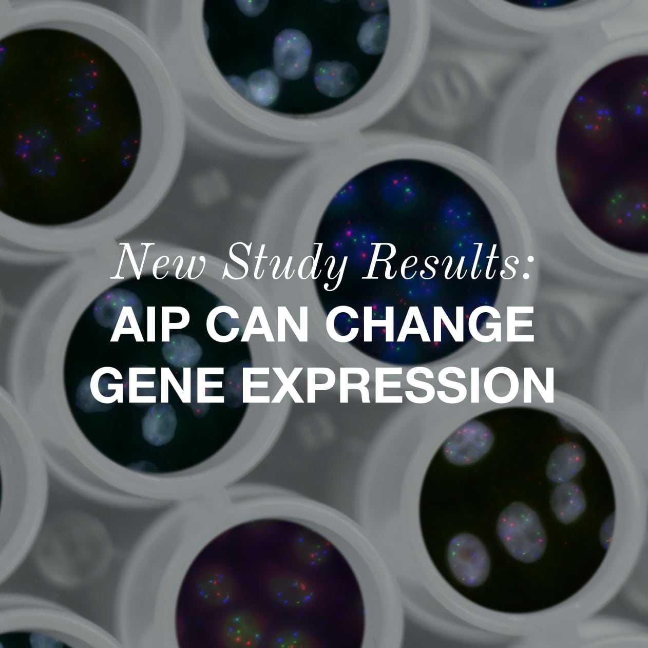 New Medical Study Results: AIP Can Change Gene Expression