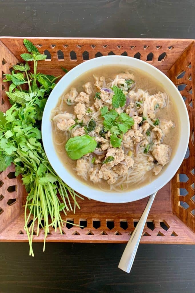 AIP Instant Pot Chicken Pho - Autoimmune Wellness