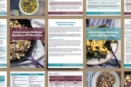 Announcing Modified AIP: A 2024 Update to the Autoimmune Protocol ...